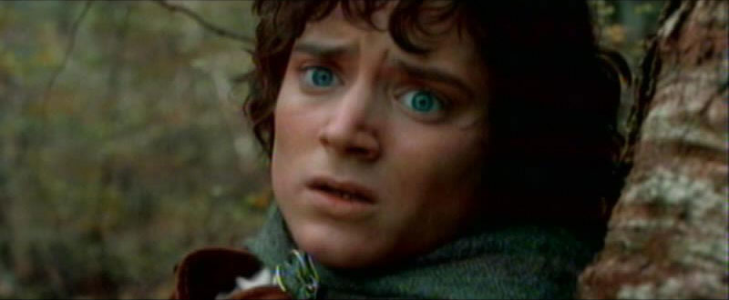 frodoFOTR